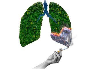 Quit Smoking to Protect Yourself, and the Environment